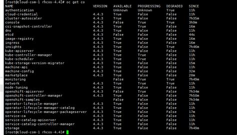 [bare metal] okd 4 4 console fails to start with connection refused