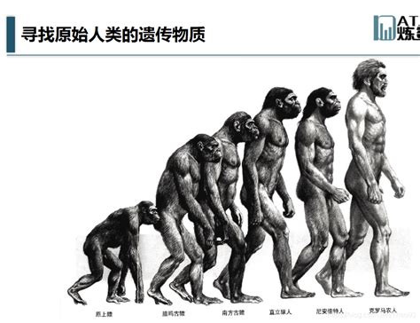 主成分分析，充分图，聚类，主成分回归——数据分析与r语言 Lecture 11主成分得分聚类分析r语言 Csdn博客