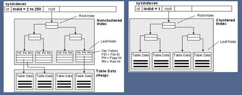 Query Optimization Hash Index B Tree Microsoft Qanda