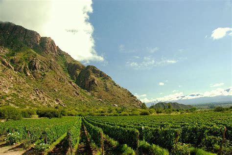 The Natural Landscape Of Argentina Lac Geo