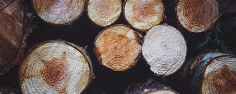 what is log correlation making sense of disparate logs