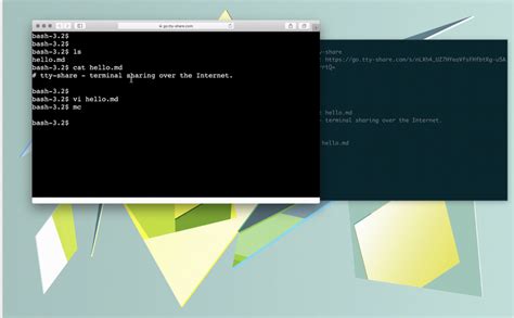 GitHub Elisescu Tty Share Share Your Linux Or Osx Terminal Over The Internet