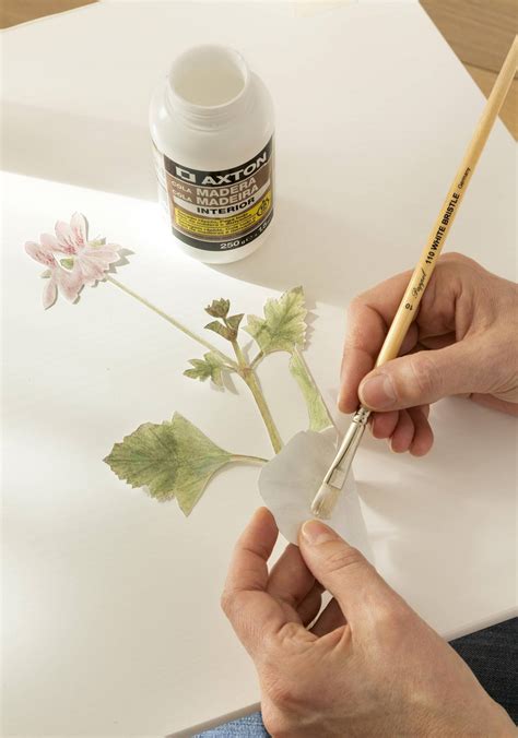 Decoupage Técnica Qué Es Y Cómo Hacerlo