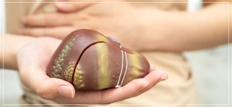 Is Cancer Of The Liver Curable Aakash Healthcare