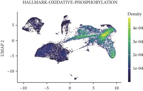 Single Cell Sequencing Analysis To Explore The Cell Localization Of