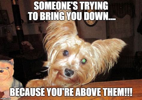 Dont Let Them Get You Down Imgflip