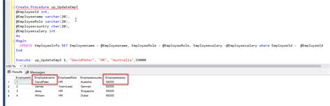 how to execute the stored procedure for updating the sql server