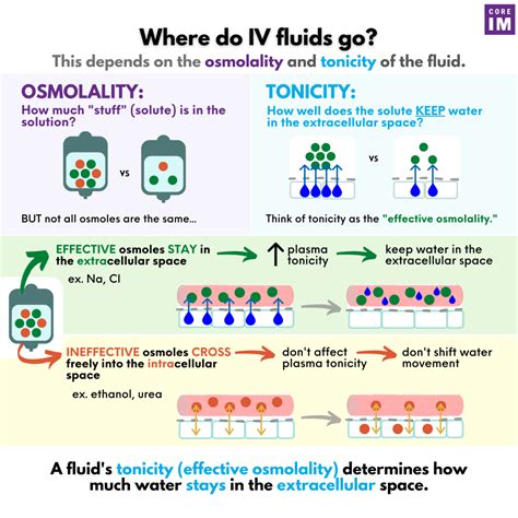 D5 Water Iv Fluid