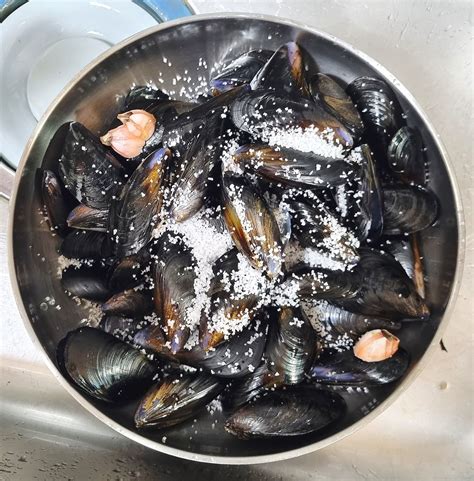 다른 반찬 필요없는 홍합밥