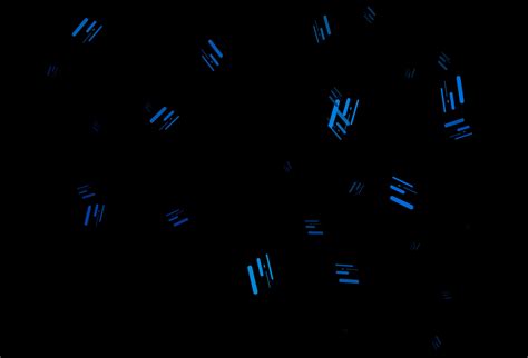 Dark Blue Vector Layout With Flat Lines 5329594 Vector Art At Vecteezy