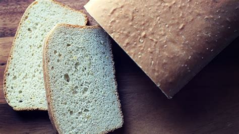 Microorganisms In Bread