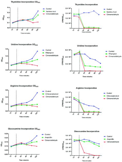 Effects Of Cinnamaldehyde On The Assembly Of The Main Bacterial Download Scientific Diagram