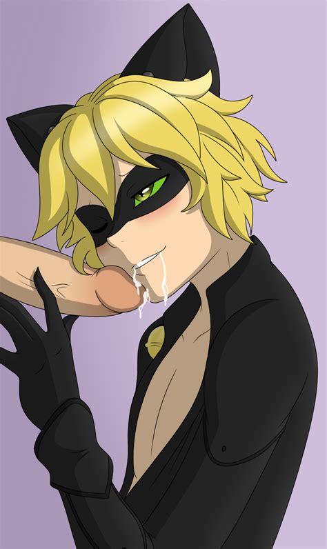 Yaoi Pinup Adrien Agreste Cat Noir