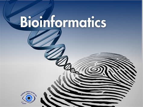 Bioinformatics Empowering Scientists And Technologists In Life And Materials Science