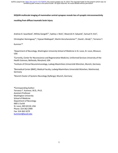 pdf sequin multiscale imaging of mammalian central synapses reveals loss of synaptic