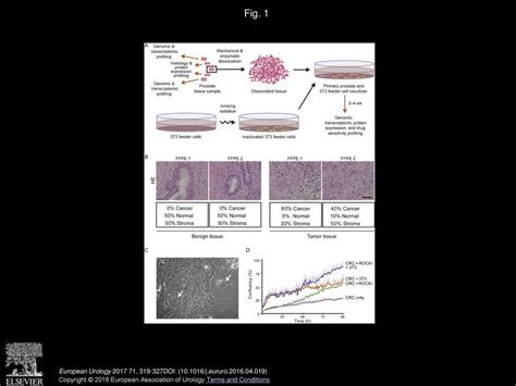 Volume 71 Issue 3 Pages March 2017 Ppt Download