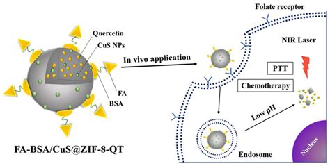 Metal Organic Frameworks As Drug Targeting Delivery Vehicles In The Treatment Of Cancer