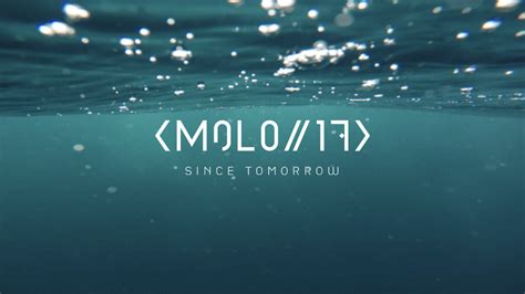 Molo17 Software House For Development Of Data Mobilization Solutions