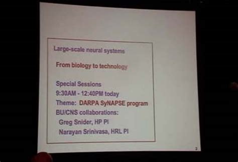 Large Scale Neural Systems For Vision And Cognition Ieeetv