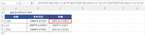 【excel】datedif関数で何年何ヶ月何日経過したかを表示する Excel 悩めるシステムエンジニアの備忘録