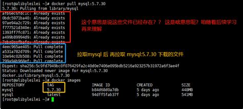 docker 常用命令大全 docker常用命令 csdn博客