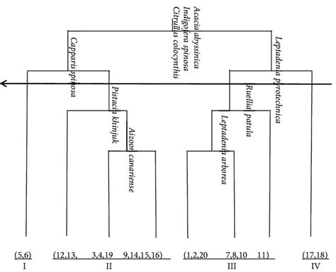 The Dendrogram Illustrating The Presence Of Vegetation Groups Using Download Scientific