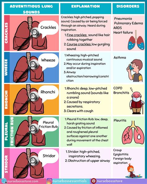 Lung Sound Assessment