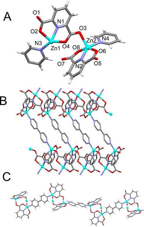 A Asymmetric Unit Of 2 With Partial Labeling Scheme B Perspective Download Scientific