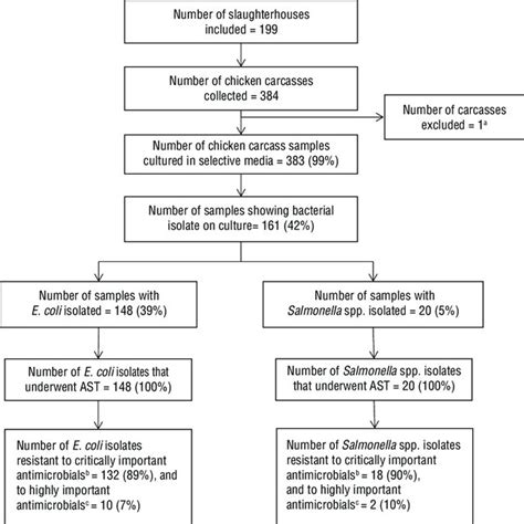 Sample Collection Isolation Of E Coli And Salmonella Spp And Download Scientific Diagram