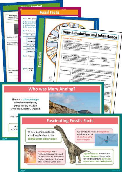 Evolution And Inheritance — Lesson 1 Fossils Year 6 Cgp Plus