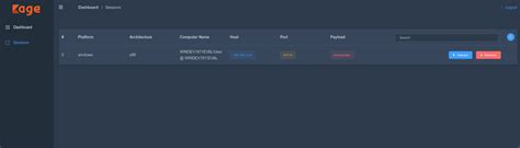 graphical consumer interface for metasploit meterpreter and session