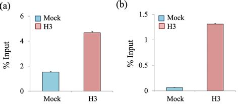 Optimization Of Chromatin Immunoprecipitation After Chromatin