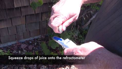 How To Use A Refractometer Youtube