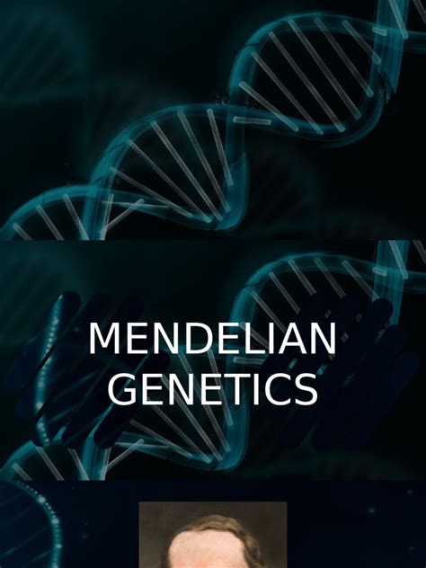 Mendelian Genetics Pdf Dominance Genetics Zygosity