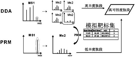 Direct Mass Spectrum Detection Method For Low Abundance Protein Post