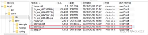 Canal无法正常启动 错误there Is Insufficient Memory For The Java Runtime