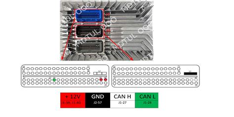 Unlocking The Power E78 Ecu Pinout Demystified