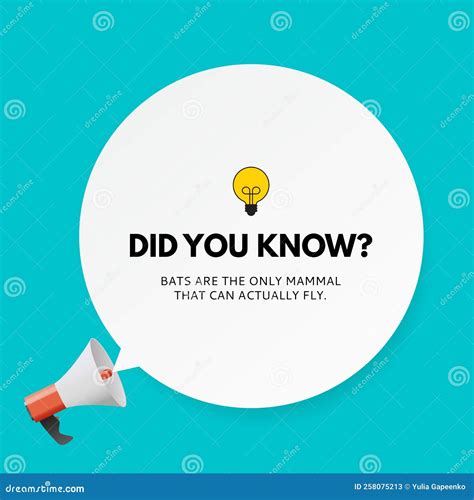 Did You Know Interesting Fact Vector Illustration Stock Vector