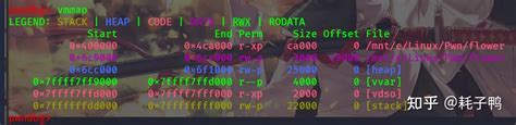 [ctfshow] pwn 内部赛 flower write up