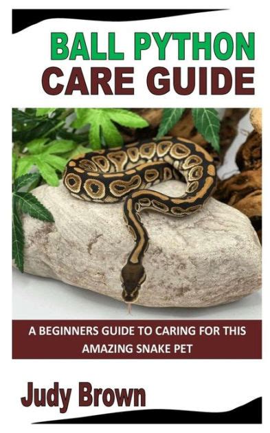 BALL PYTHON CARE GUIDE A Beginners Guide To Caring For This Amazing Snake Pet By JUDY BROWN