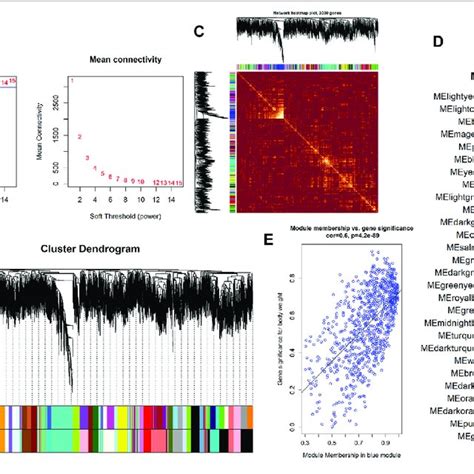 Key Findings From The Module Trait Correlations Analyses A The
