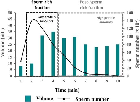 Boar Ejaculate Sperm Concentration Ejaculate Volume And Relative