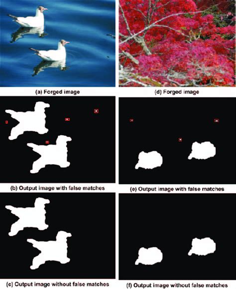 Output Of The Proposed Algorithm Detected Copy Move Regions Are Shown Download Scientific