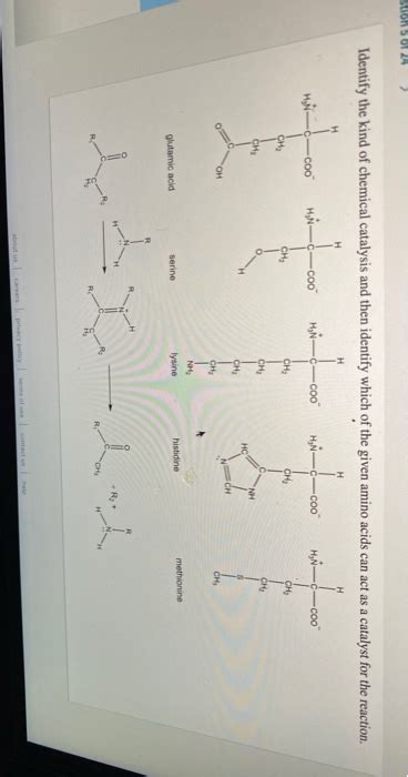 Solved Son SO Identify The Kind Of Chemical Catalysis And Chegg Com