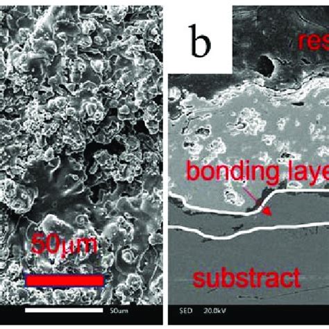 Surface Morphology A And Cross Section Morphology B Of Ct1 Coating