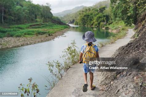 Java Tree Photos And Premium High Res Pictures Getty Images