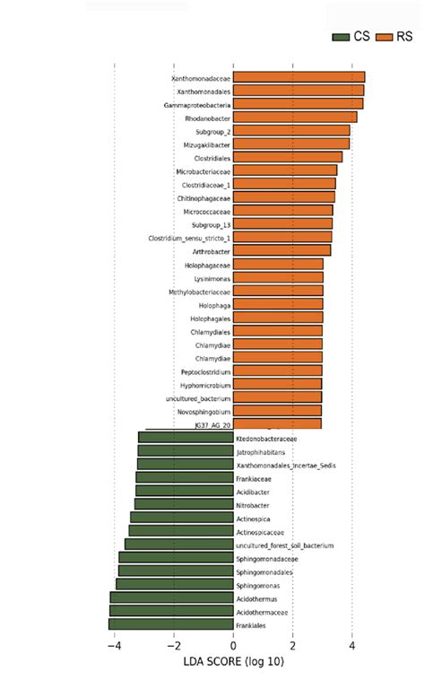 Differentially Abundant Bacterial Taxa As Assessed Using Linear Download Scientific Diagram