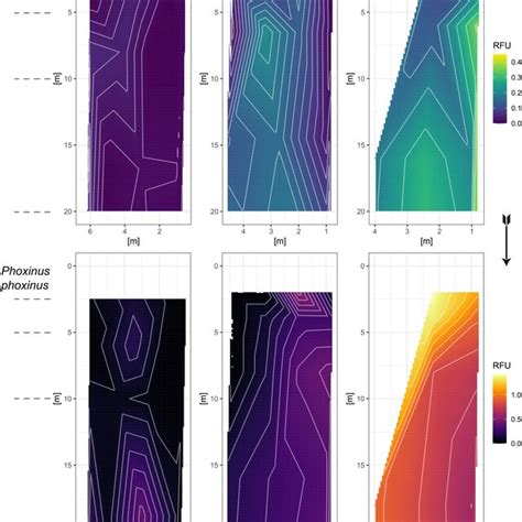heatmaps showing the small‐scale ≤20 m distribution of edna