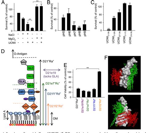 Figure 2 From Protective Role Of The Neuropeptide Urocortin Ii Against Experimental Sepsis And