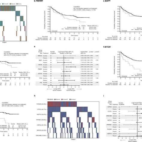 Mutational Analysis Of Selected Genes A Heatmap Of Selected Genes Based